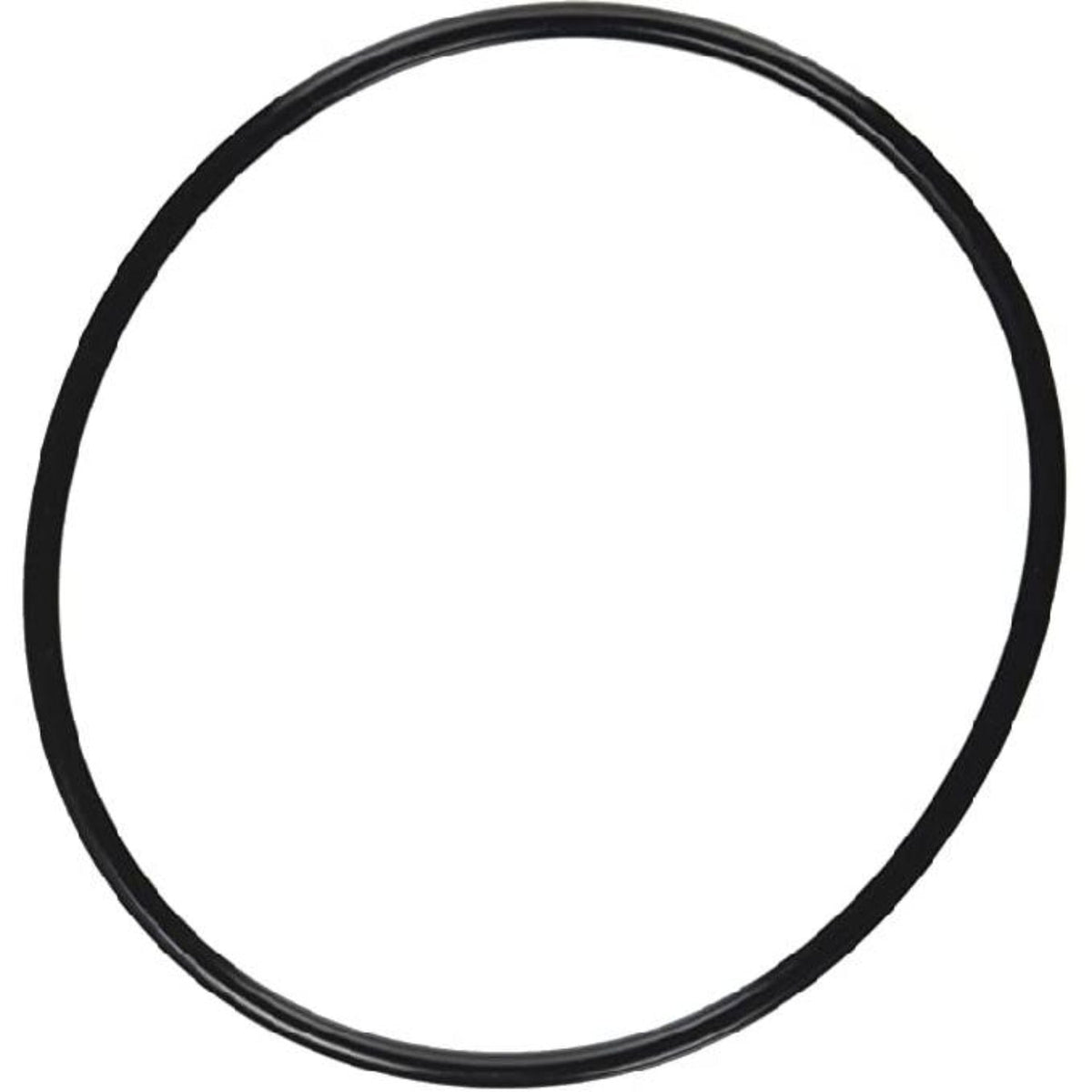 Pentair super flo o-ring 2-357 - 357255 – Pool Depo